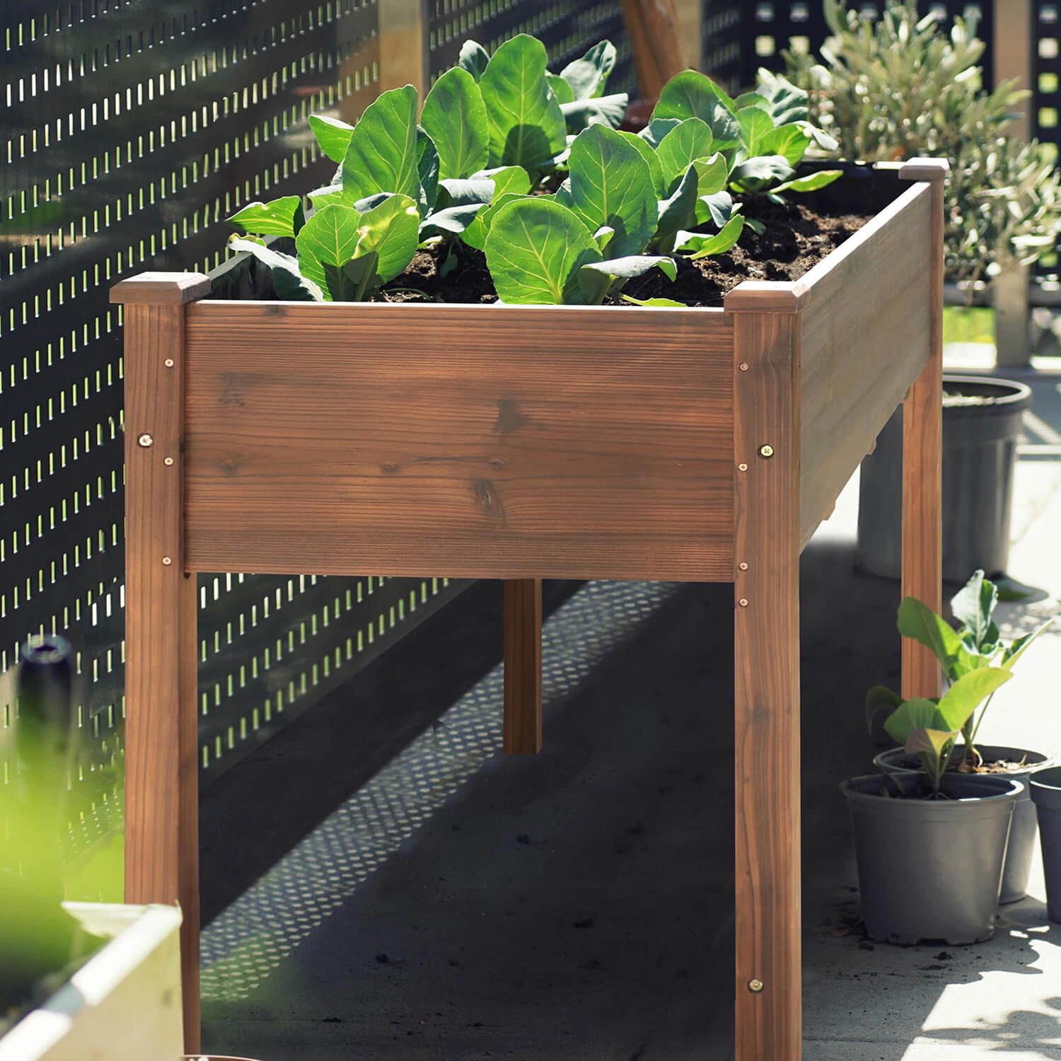 Elevated Planter with Drainage Holes, Wood for Herbs and Vegetables ...