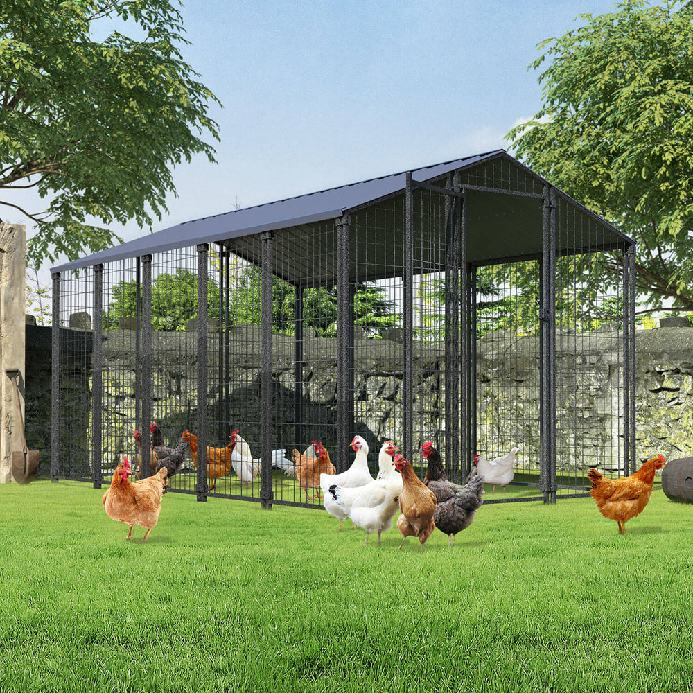 Metal Chicken Coop for 15 Chickens, Galvanized Steel Roof & Mesh – Veikous