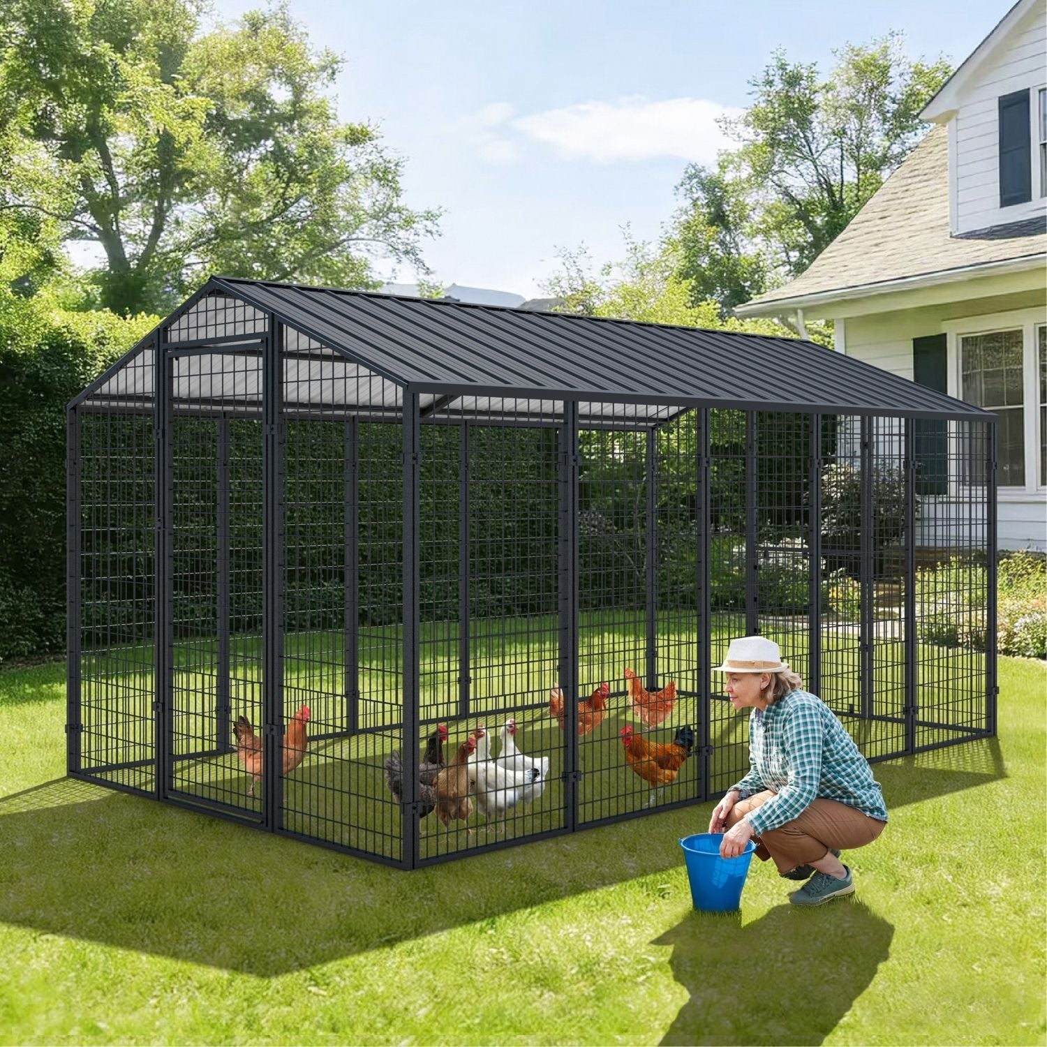 Metal Chicken Coop for 15 Chickens, Galvanized Steel Roof & Mesh – Veikous