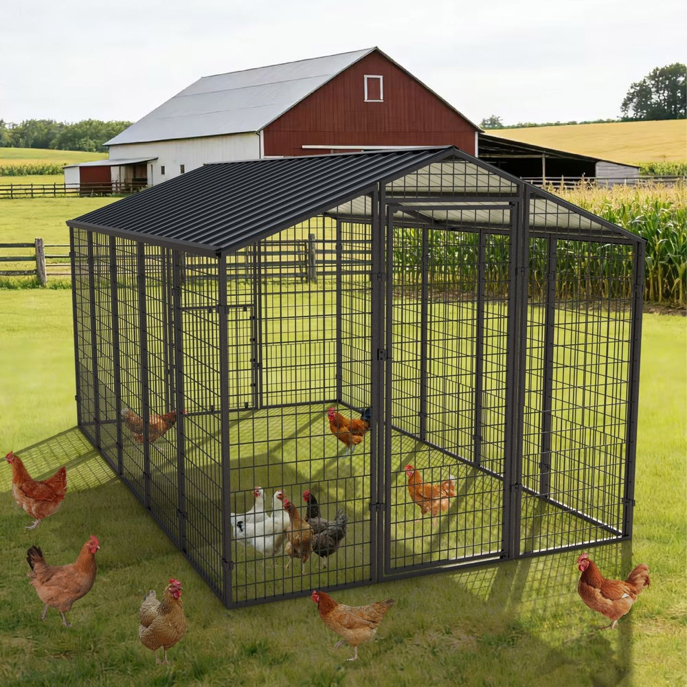 Metal Chicken Coop for 15 Chickens, Galvanized Steel Roof & Mesh – Veikous